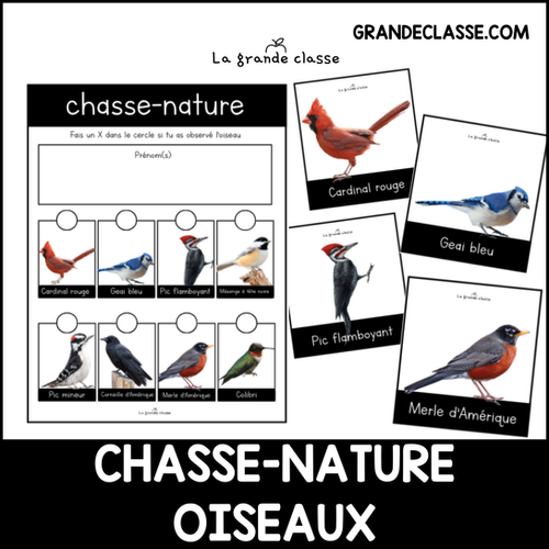 Chasse nature : les oiseaux | La grande classe