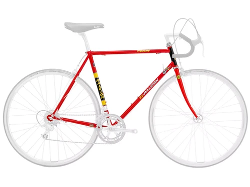 TI-RALEIGH ANNIVERSARY EDITION FRAMESET | E-bike & E-scooter