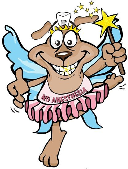 Landing Page | Pet Tooth Fairy