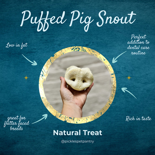 Puffed Pig Snout | Pickles Pet Pantry