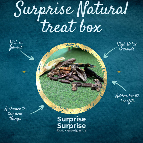 Surprise Natural Treat box of the month | Pickles Pet Pantry