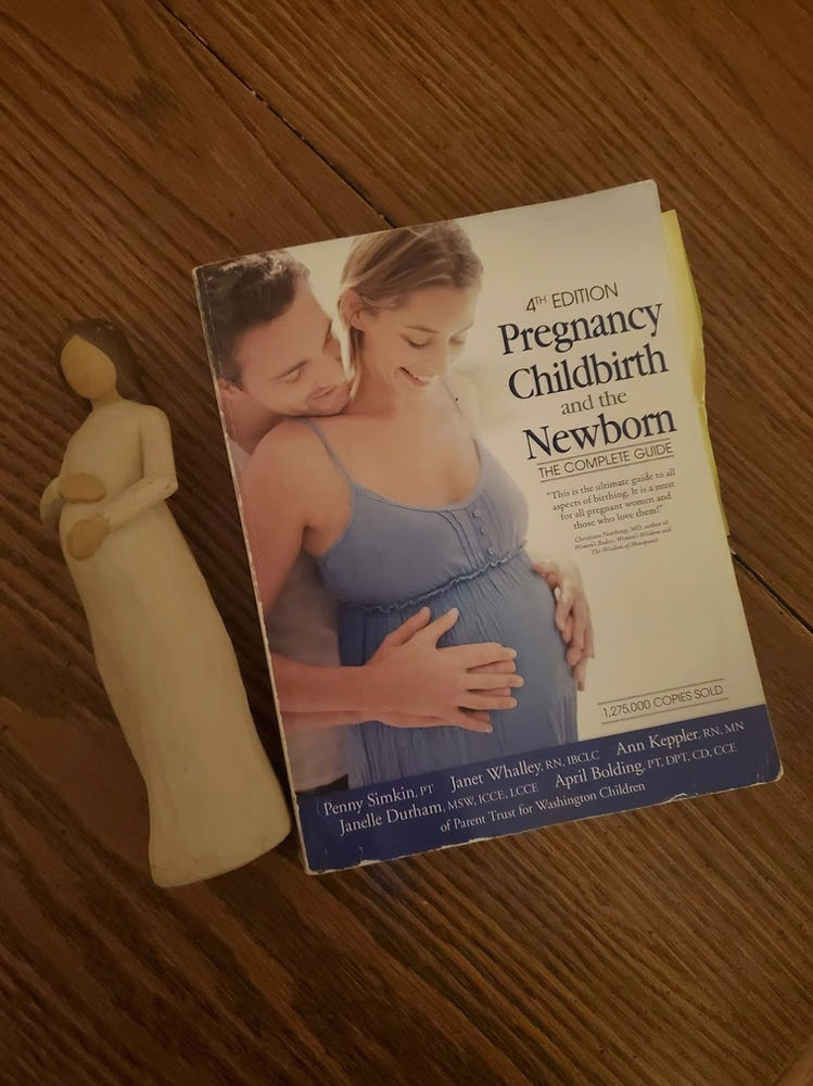 Book Insight: Pregnancy, Childbirth, and the Newborn: The Complete Guide