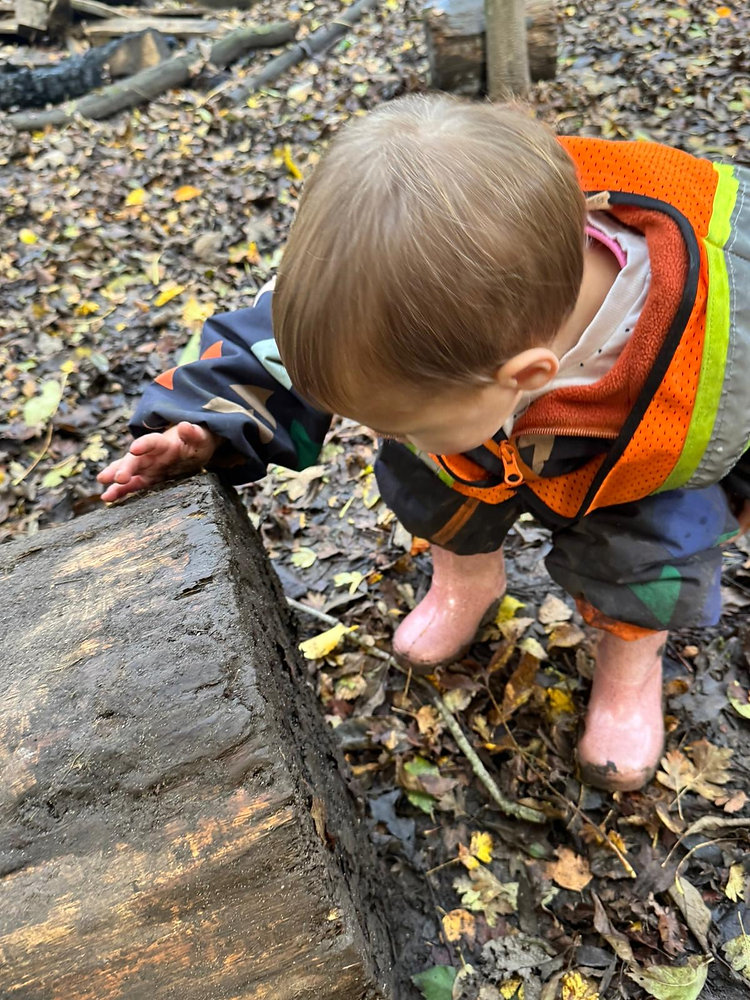 Our Forest School Adventure: Leaf Play and Worm Hunts!