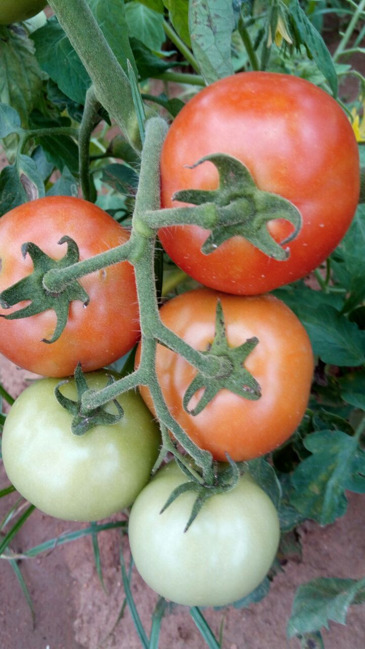 BLOG | Nurture Seeds