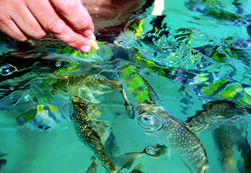 GALLERY | Krabi Castaway Tours | Ao Nang