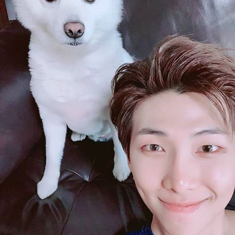 LET’S TAKE A LOOK AT BTS AND THEIR PETS