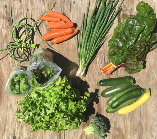 Small Harvest Season Share- variable prices | Luna Bleu Farm