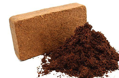 Coco Fibre Block | InvertebrateSupplies