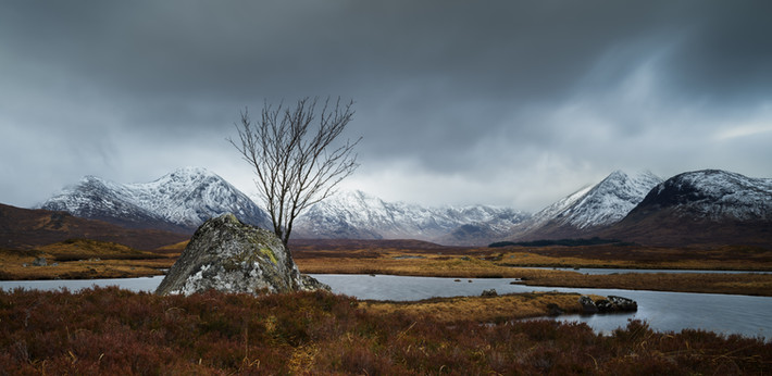 Grand Landscapes | Aravind Krishnaswamy