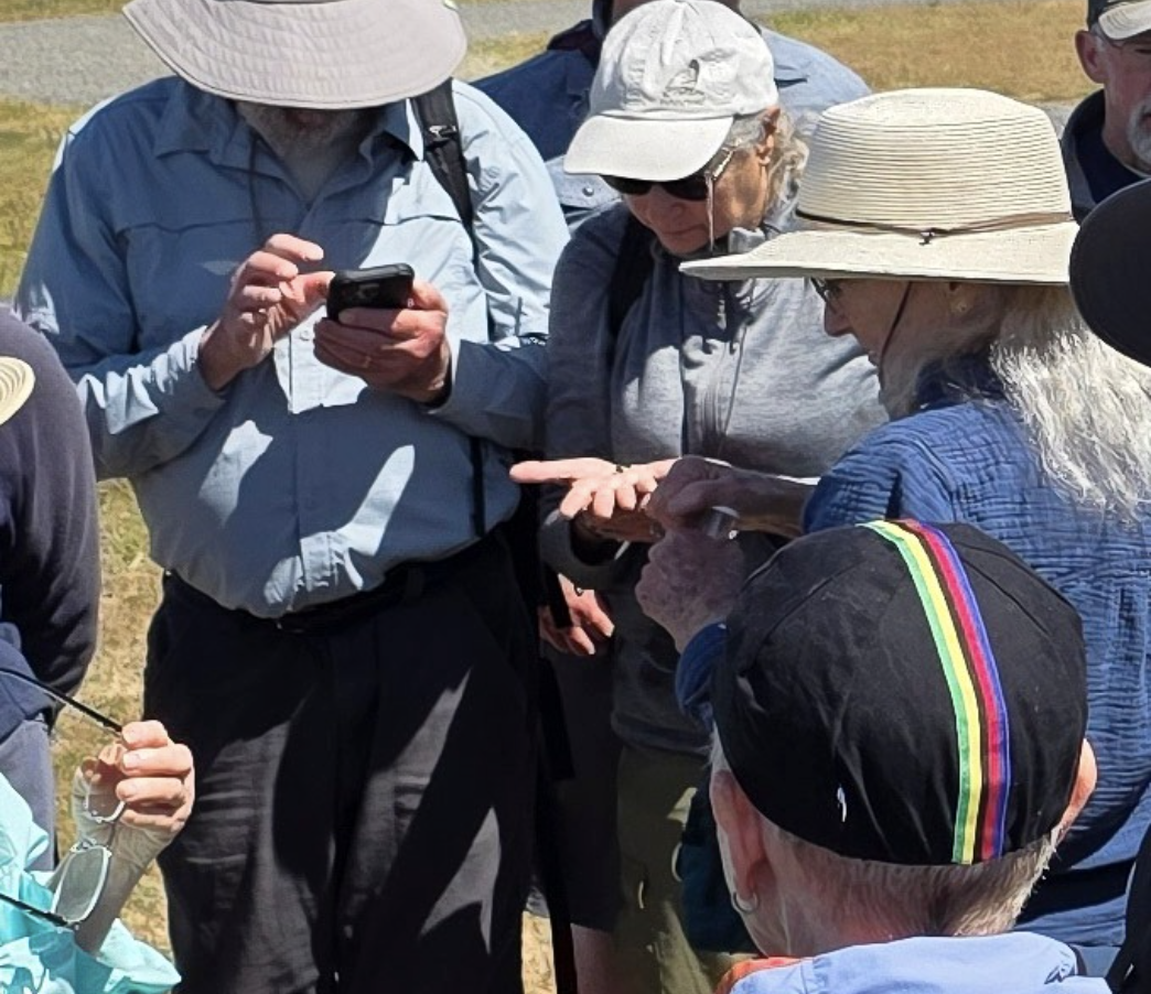 Start your own Native Bee Society – We are happy to help!