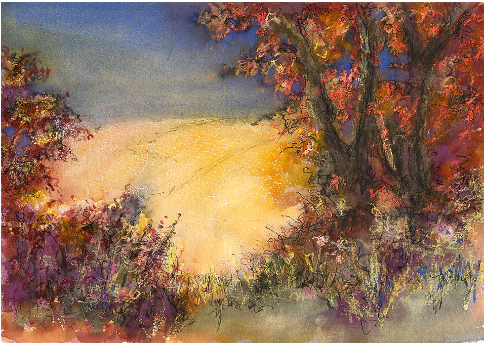 Late Noon Late Autumn | Claire Botterill