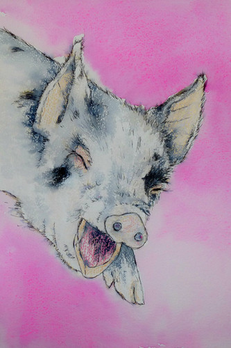 Laughing Piglet Greetings Card. | Claire Botterill