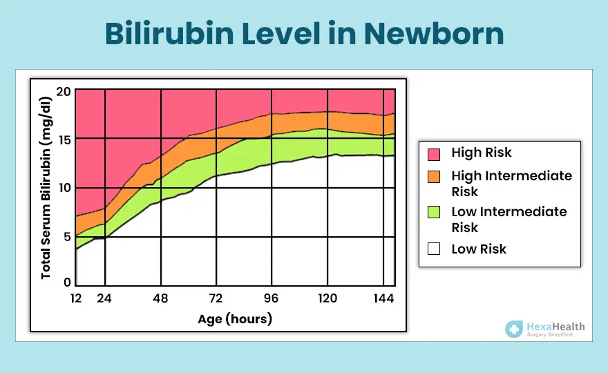 What Parents Need to Know About Bilirubin Levels in Newborns