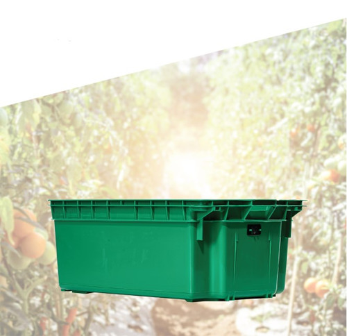 Plastic Box / Agriculture, Marine & Poultry Series | Gold Wind