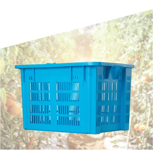 Plastic Box / Agriculture, Marine & Poultry Series | Gold Wind