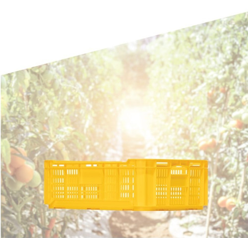 Plastic Box / Agriculture, Marine & Poultry Series | Gold Wind