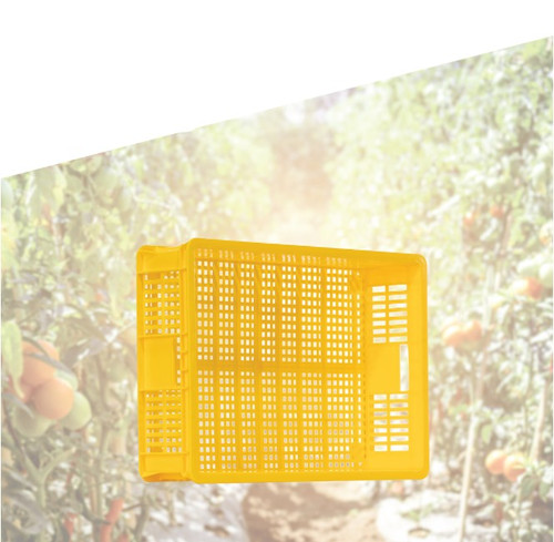 Plastic Box / Agriculture, Marine & Poultry Series | Gold Wind