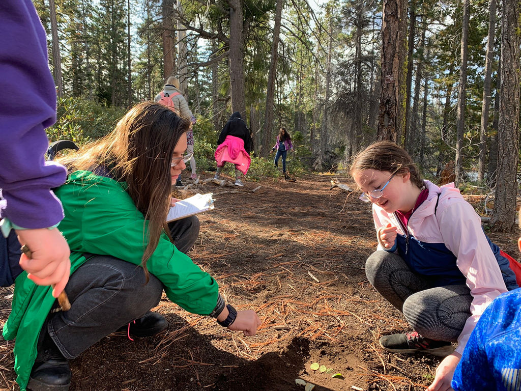 Decomposition Comics