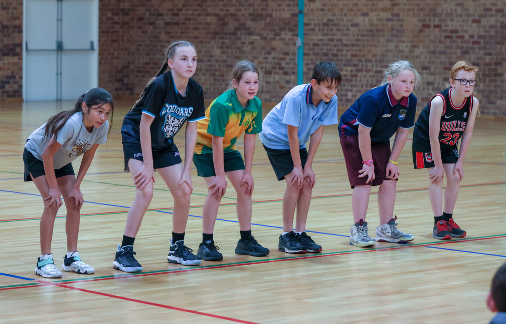2023 Collie Basketball Clinic | Binar