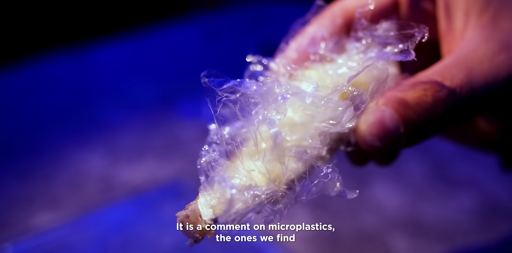I'm Eating What? Microplastics in the Food Chain