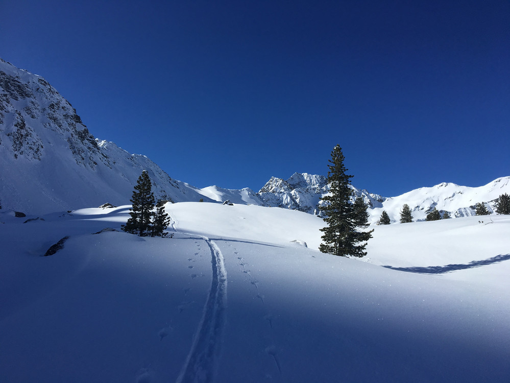 Tourski genieters met berggids