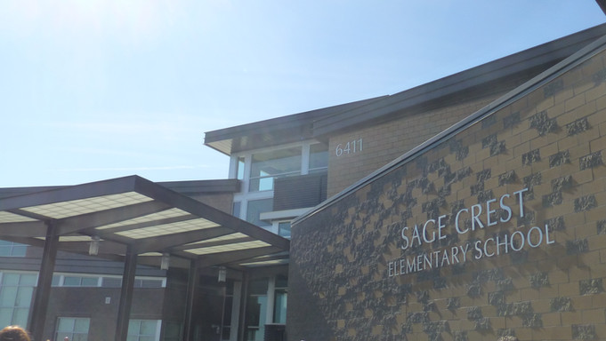 Educational Projects