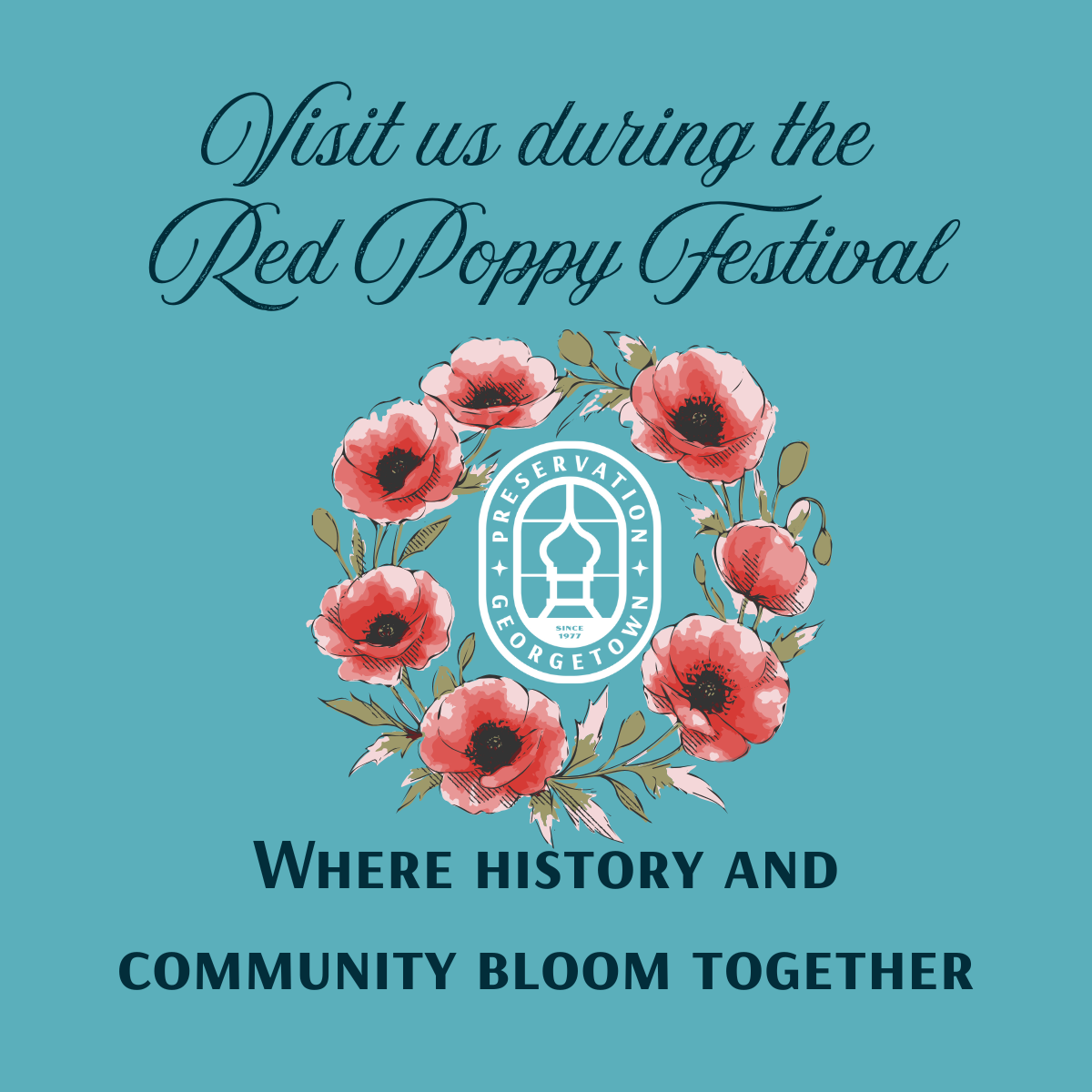 Red Poppy Festival | PG