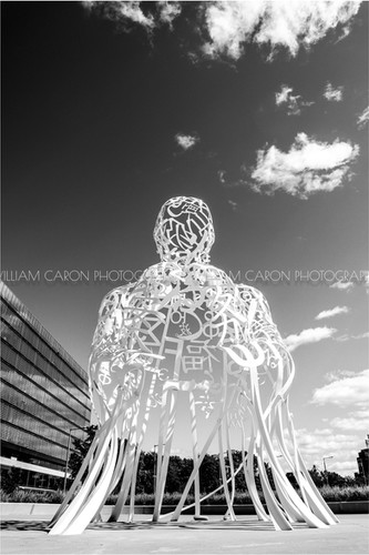 LE GARDIEN DE LA VILLE | William Caron