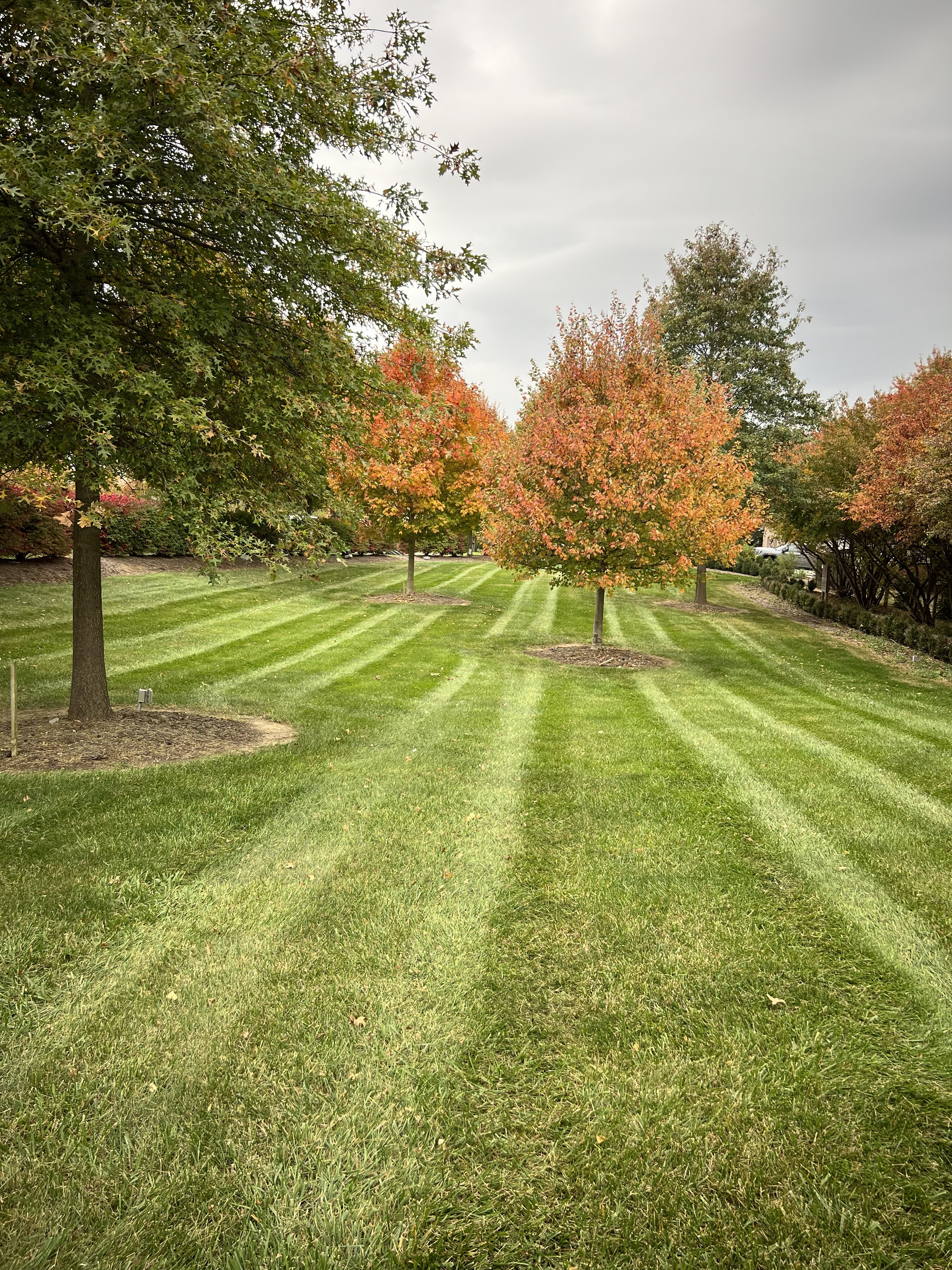 Lawn Mowing Columbus Indiana | Wilson Lawn Care Service