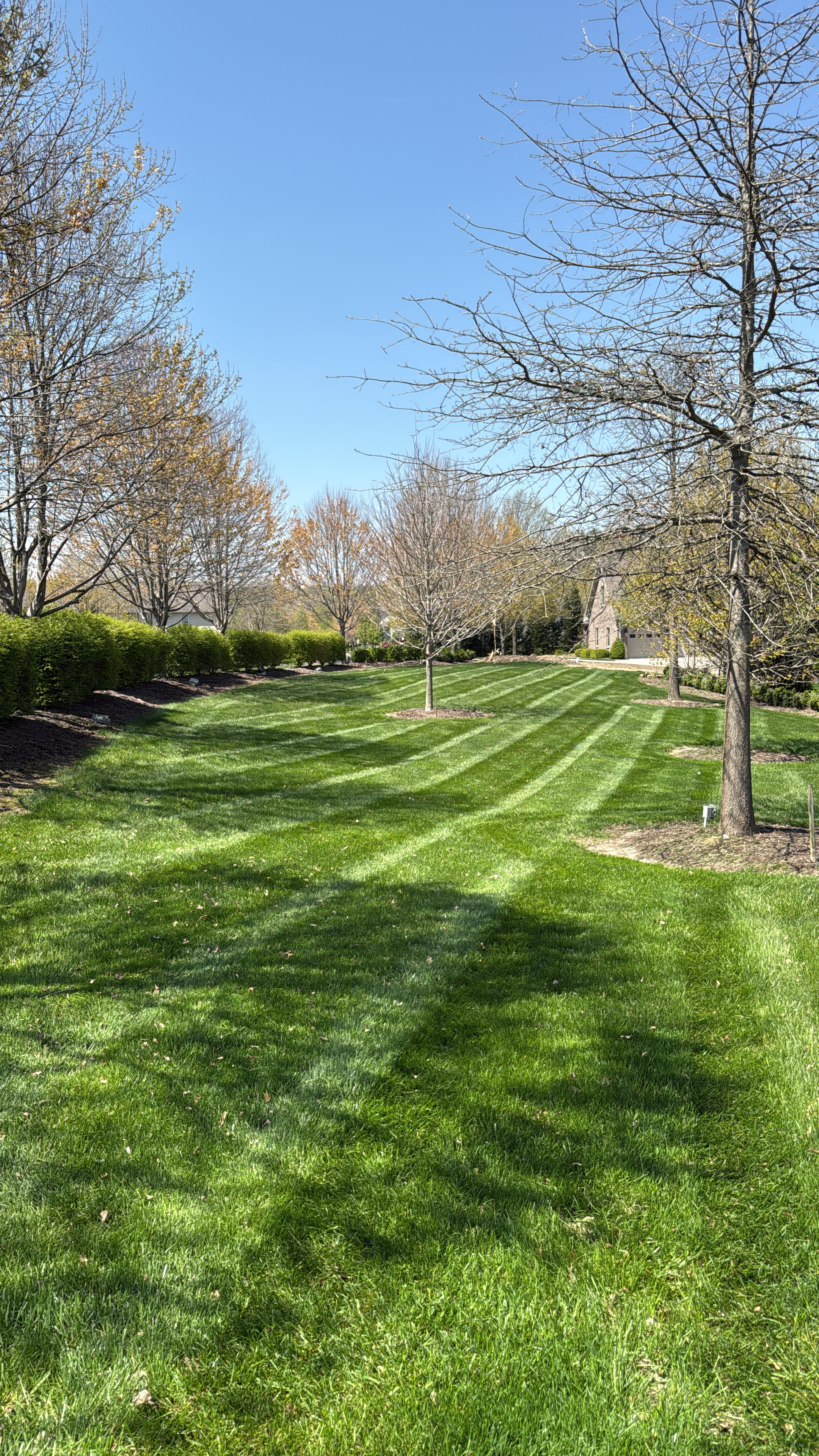 Lawn Mowing Columbus Indiana | Wilson Lawn Care Service