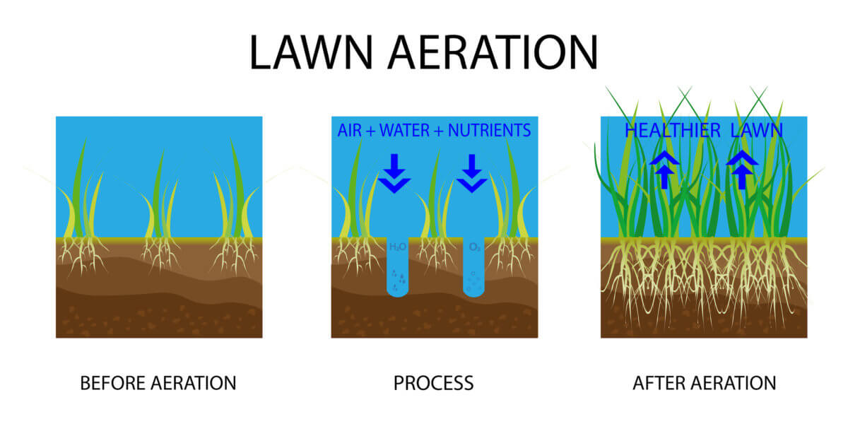 Lawn Mowing Columbus Indiana | Wilson Lawn Care Service