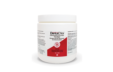 Oral Hygiene | Pro Concepts Animal Health