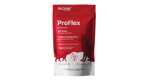 Nutritional Supplements | Pro Concepts Animal Health