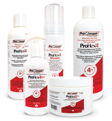Topical Therapy | Skin Products | Pro Concepts Animal Health