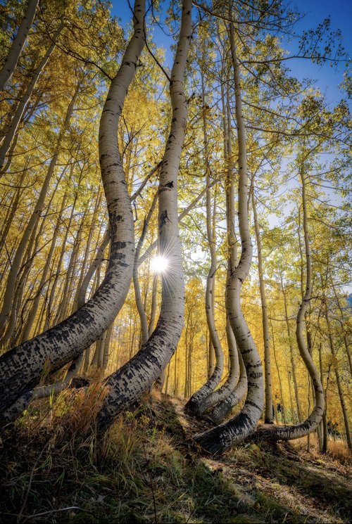 Best Lenses for Landscape Photography