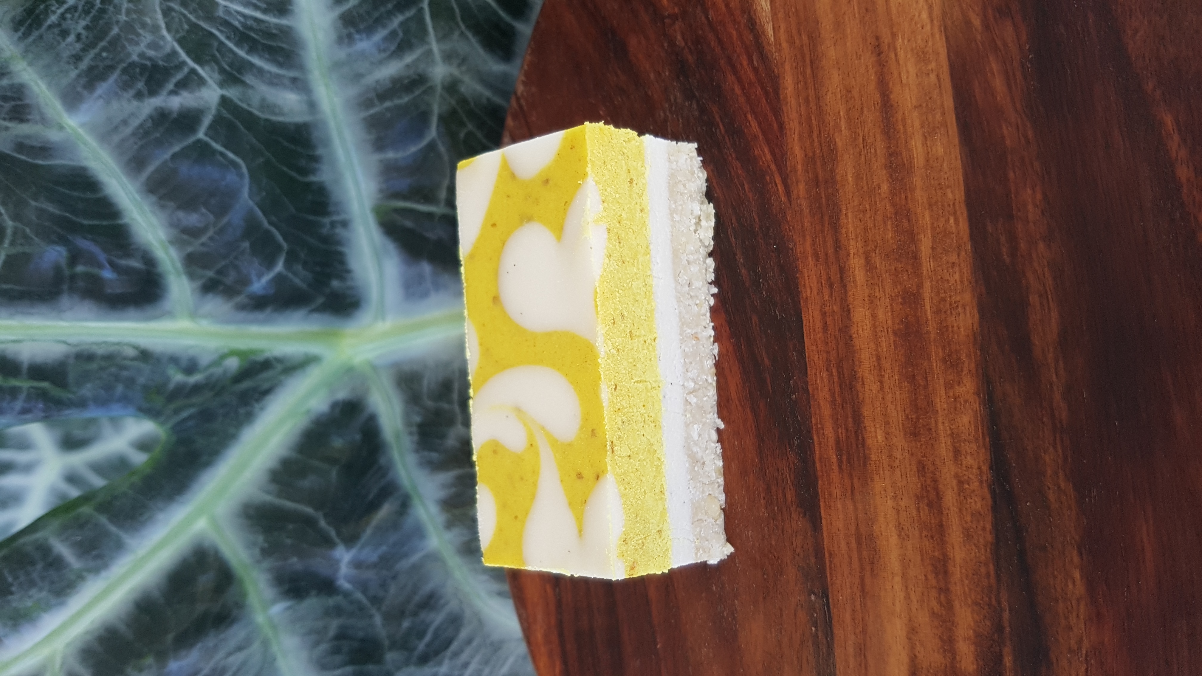 Logan City | rawdessertsatrawgems