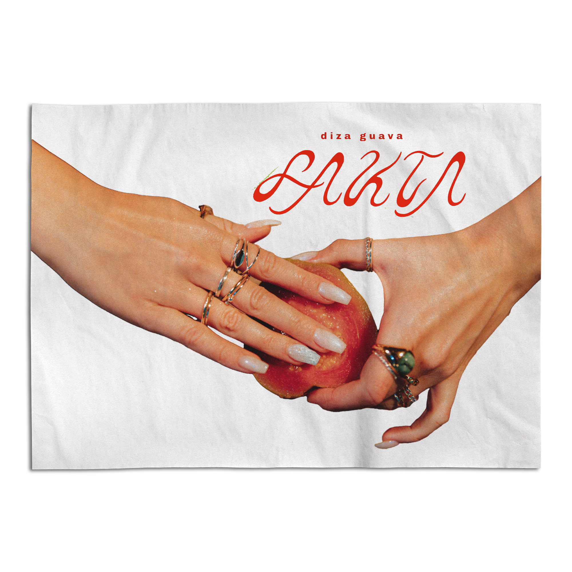 Diza Guava: FAKTA | tiny dots AB | Design, Audio & Photography