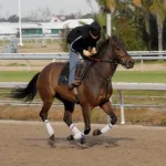 Success | Stidham Racing | Racehorse Trainer