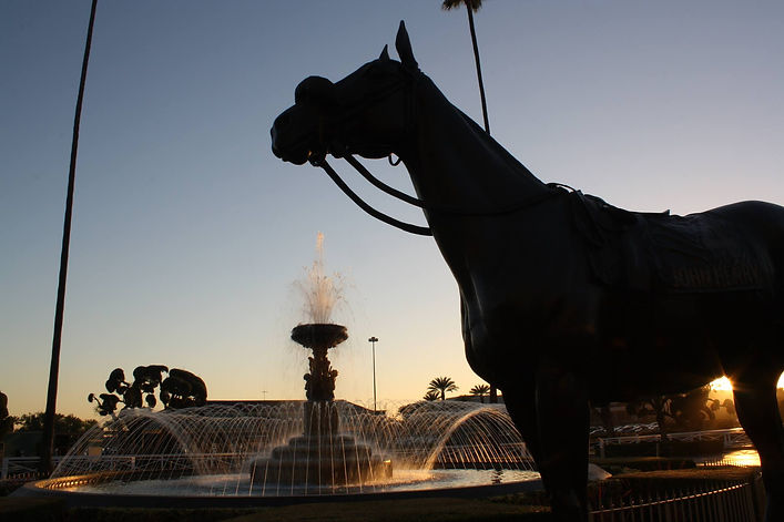 Success | Stidham Racing | Racehorse Trainer