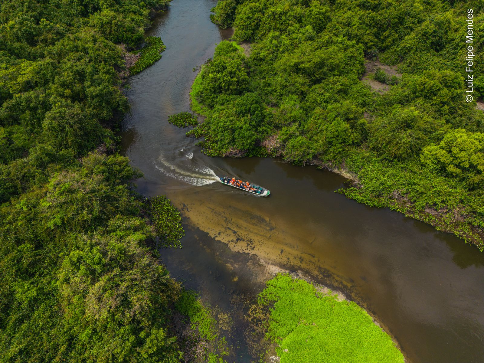 Viagem ao Pantanal: Planeje seu roteiro perfeito