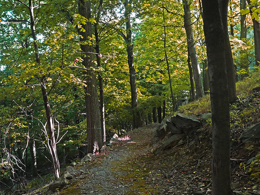 Class B Theme | LHCC