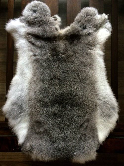 English Rabbit Fur | Shop | Natural Colours