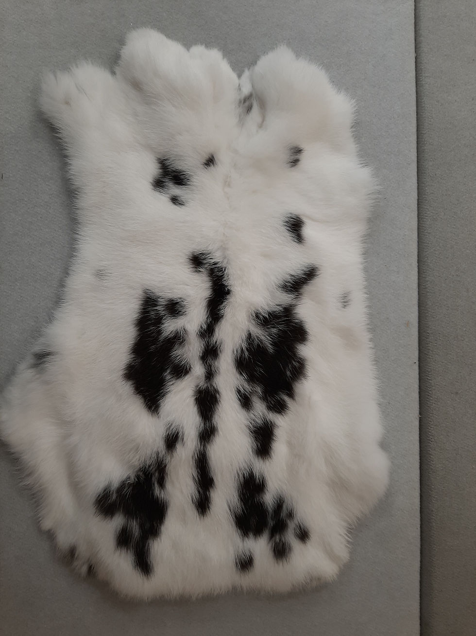English Rabbit Fur | Shop | Natural Colours