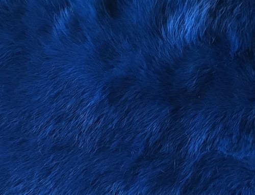 1x Royal Blue Fur Pelt | englishrabbitfur