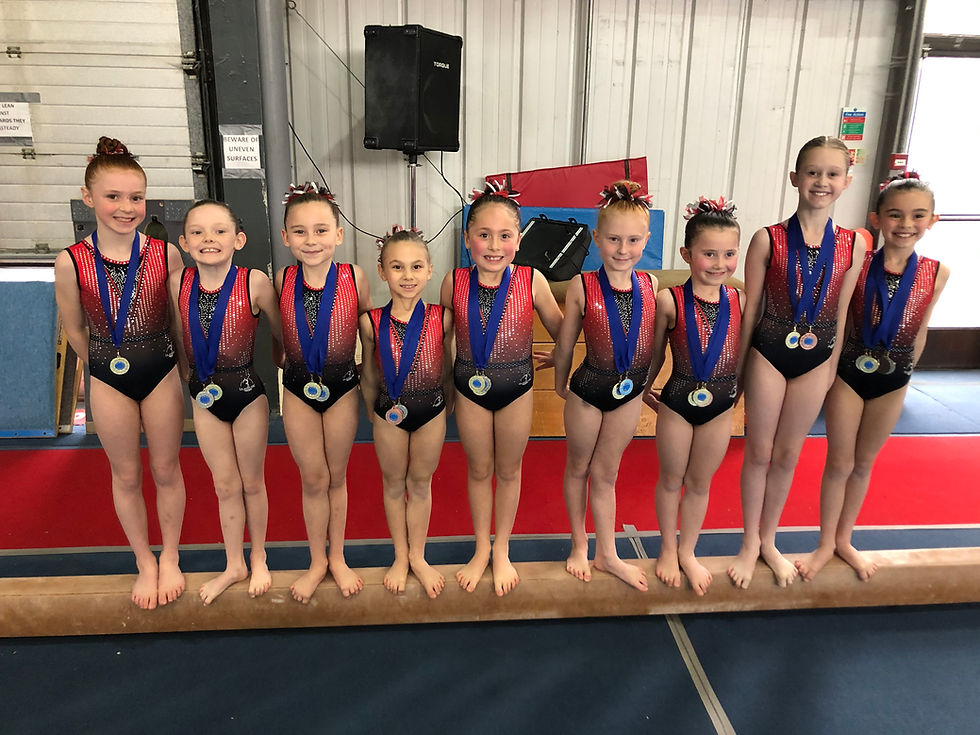Performers Gymnastics Academy