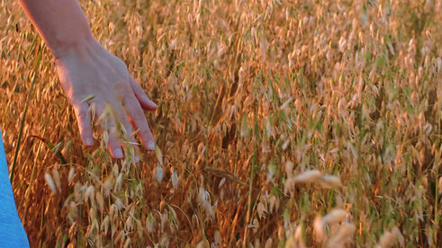 HOME | Cuderm | Alcohol Free Skincare - Vegan Skincare - Cruelty Free ...