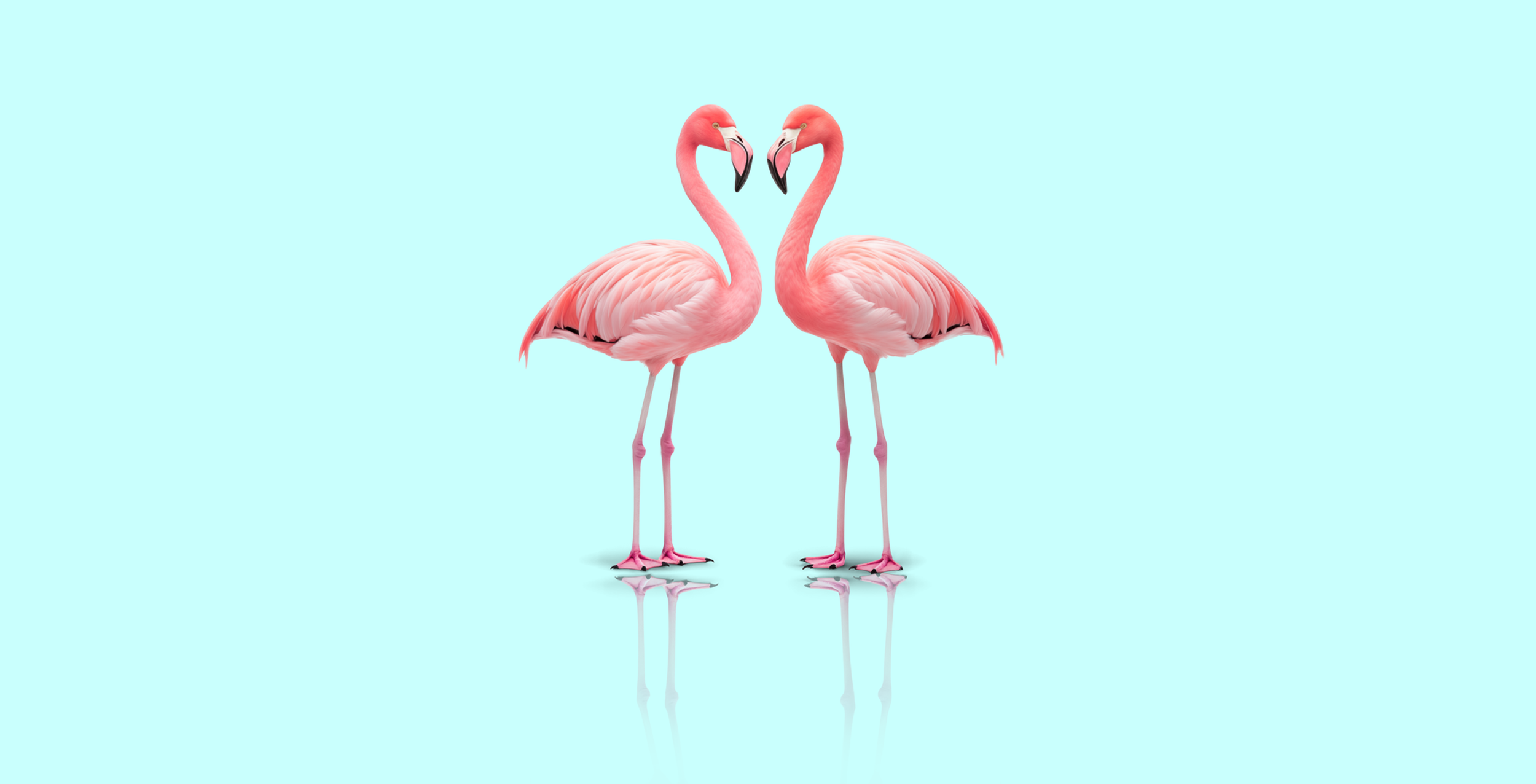 How To Create a Reflection Effect in Photoshop