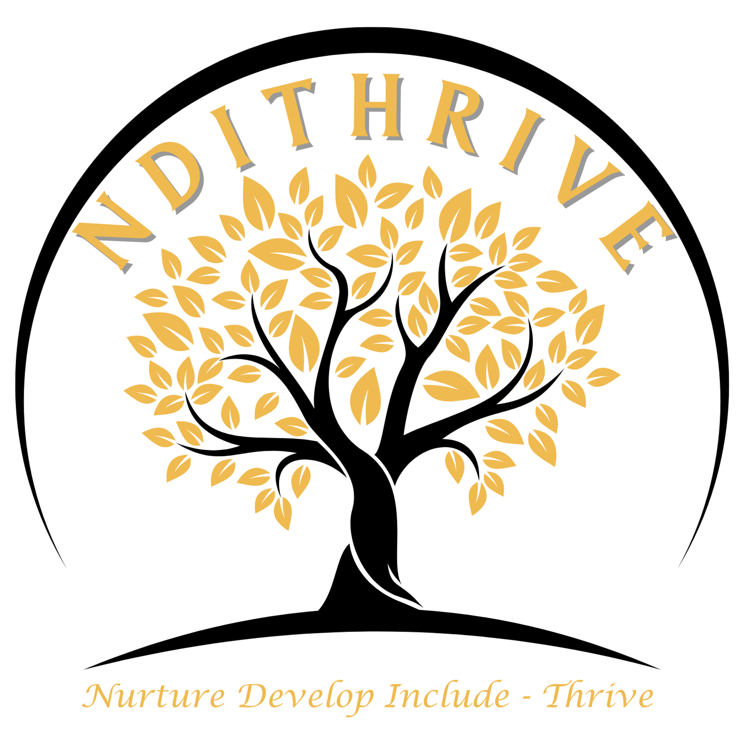 NDIThrive | NDIS | Disability Support