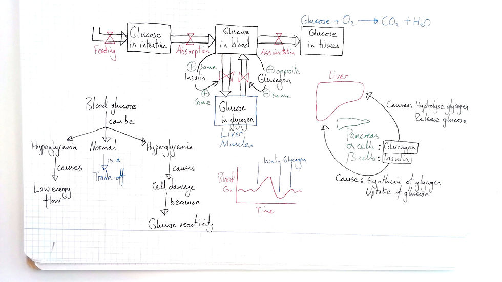 How I transitioned from Powerpoint-led lessons to drawing under a ...