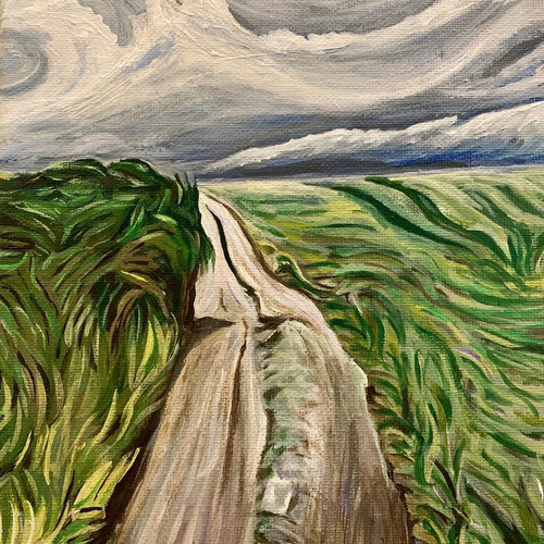 Windy Field | Woodlandviolets